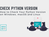 How To Check Your Python Version Windows Macos Linux Datagy
