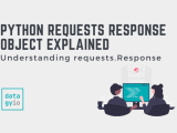 Python Requests Response Object Explained Datagy