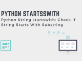 Check If String Start With Python