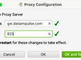 Residential Proxies For Screamingfrog Connecting Tutorial Dataimpulse