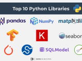 Python Introduction To The Most Popular Programming Language