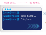 Introduction To Unix Shell Configuration Variables Home Dir Data