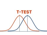 How To Perform One Sample T Test In R Data Science For Bio
