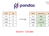 Pandas Dataframe Insert Function Examples Data Science Parichay