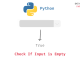 Python Check If Input Is Empty Data Science Parichay