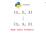 Swap Elements In A Python Tuple Data Science Parichay