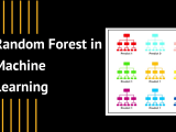Random Forest In Machine Learning Machine Learning