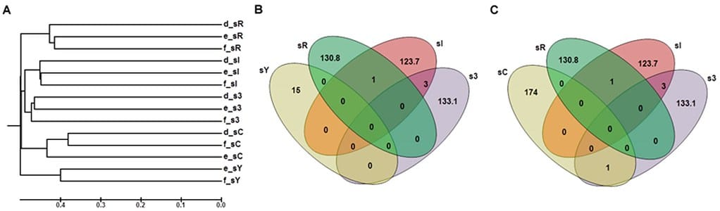 Dendrogramme : tout sur le diagramme de clustering hiérarchique