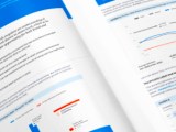 Promotion Optimization Suite Datasembly