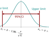 Confidence Intervals Confidence Intervals