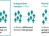 One Sample T Test What Are T Tests A Guide To Analyzing Survey