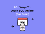 Should I Learn Sql Or Python First Datatas
