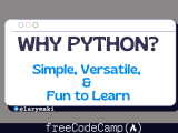 Can I Learn Python Before Html And Css Datatas