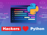 Do Hackers Use Python Or Java Datatas