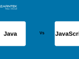 Should I Learn Java Or Javascript Datatas