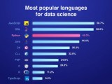 What Big Companies Use Python Coding Datatas