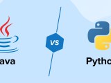What Is Easier Java Or Python Datatas