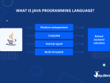 Which Is Better For The Future Java Or Javascript Datatas
