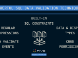 Using Sql For Form Data Validation Datatas