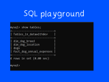 Online Sql Playground Editor With Data Datawithdev