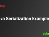 Java Serialization Examples Datmt