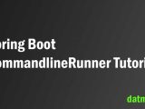 Spring Boot Commandline Runner Tutorial Datmt