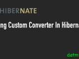 Using Custom Converter In Hibernate Datmt