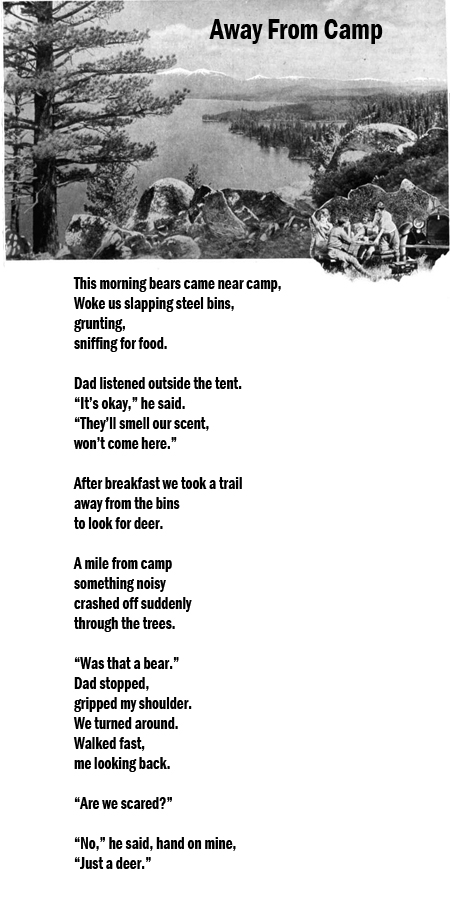 Poem of the Week – Connecting the Dots | Children's Author David L ...