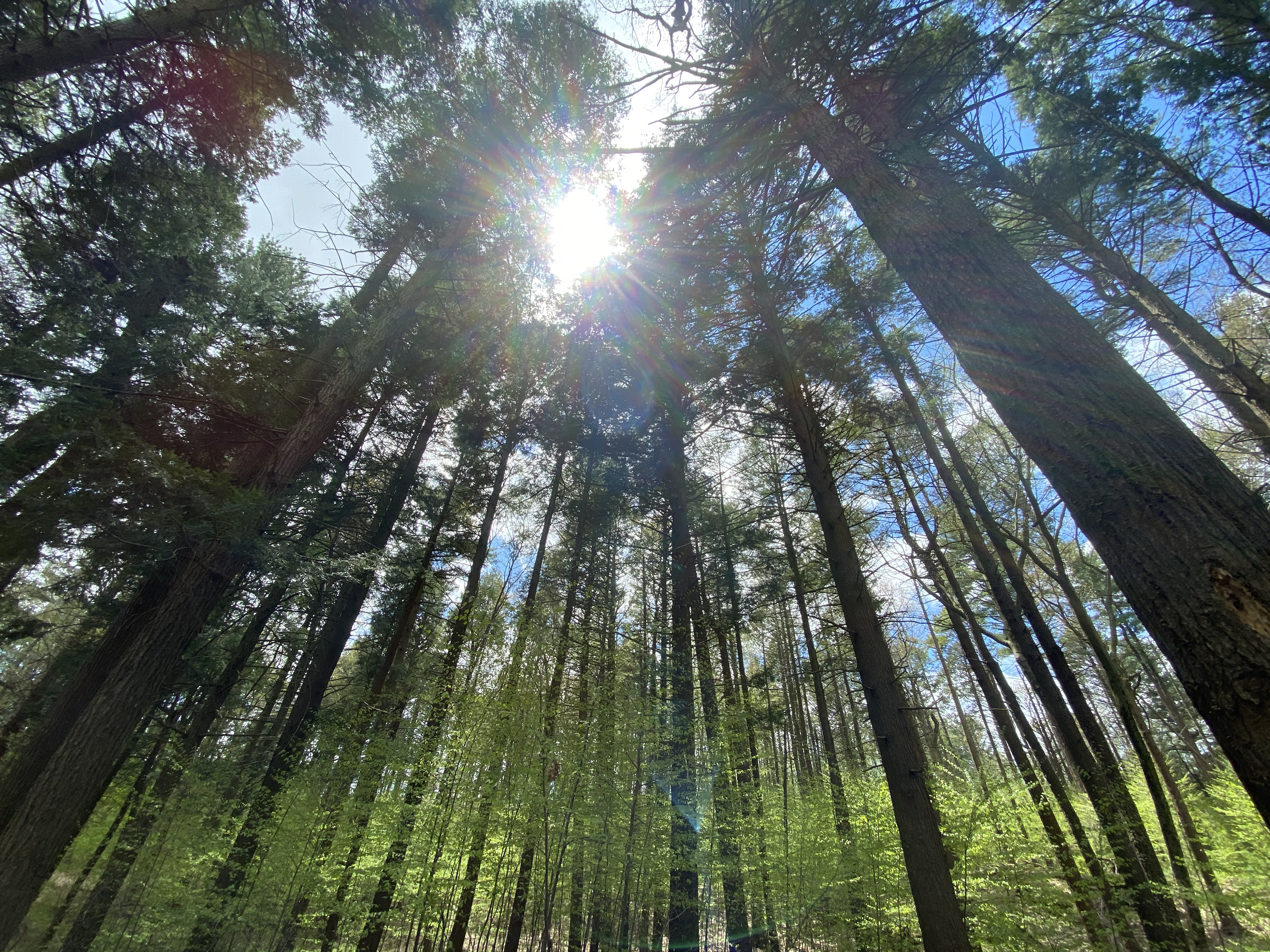 Enhancing Reducer Actions In React Context David Lozzi