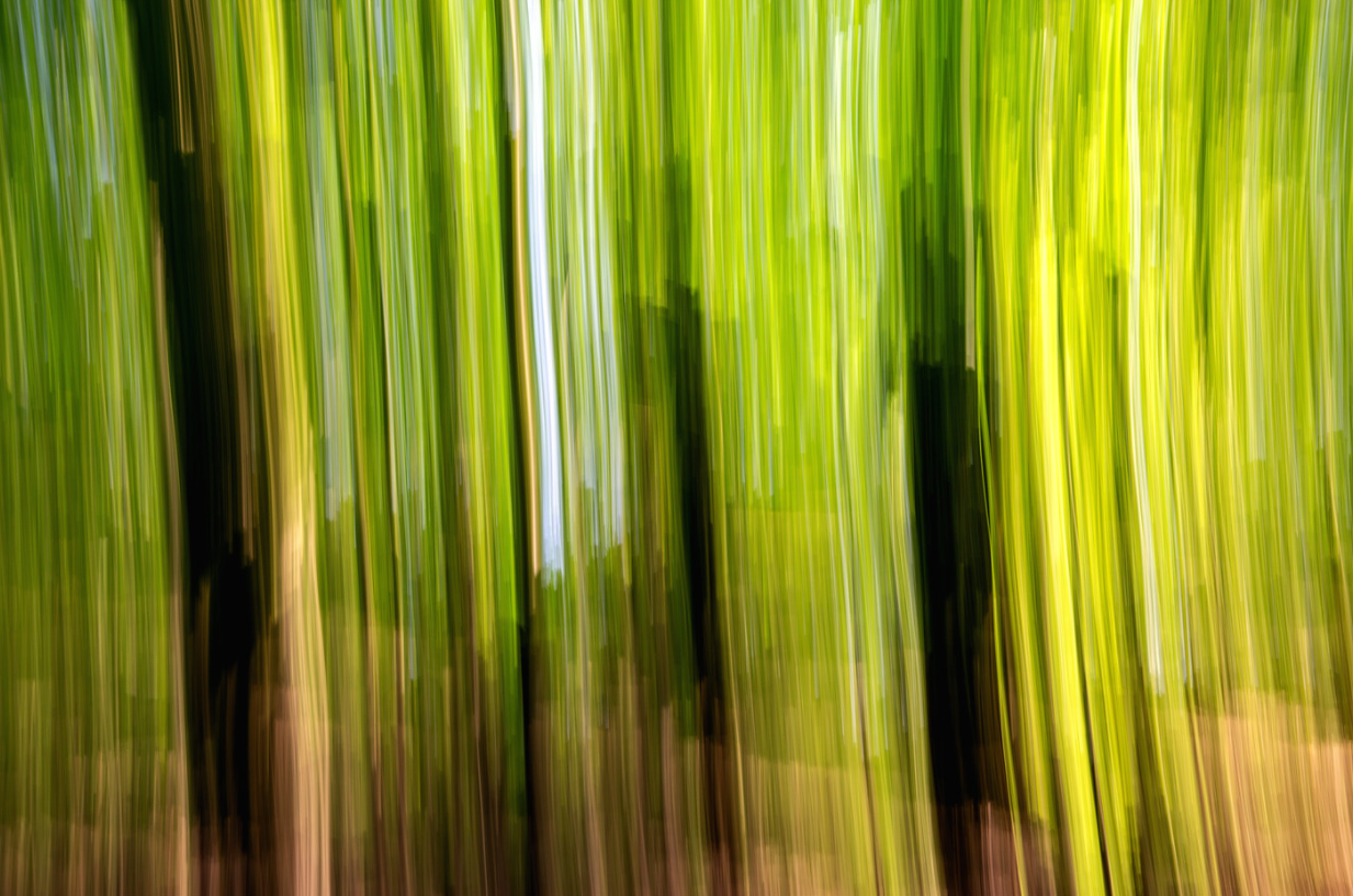 Abstract – David Rosen Photography