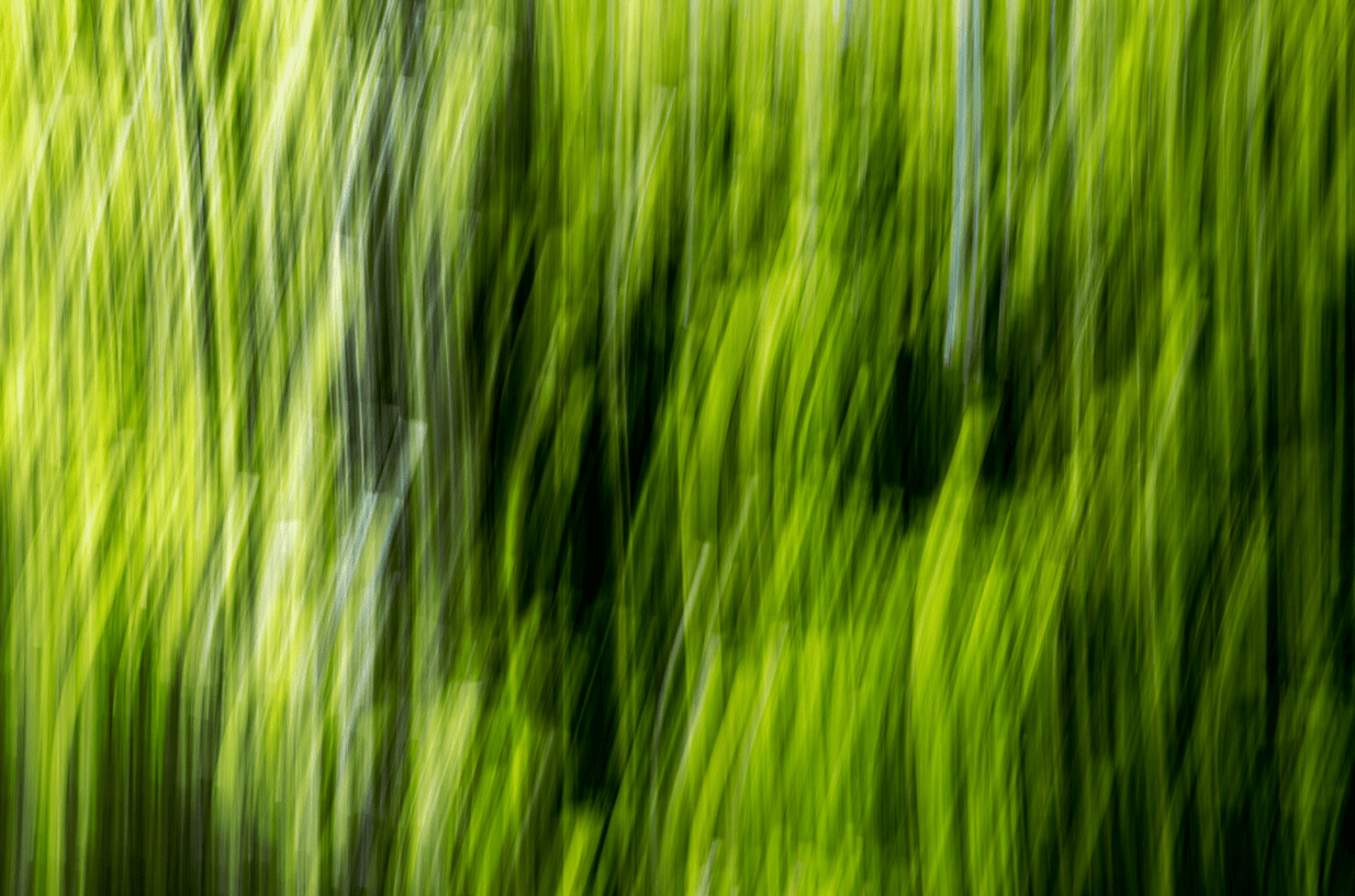 Abstract – David Rosen Photography