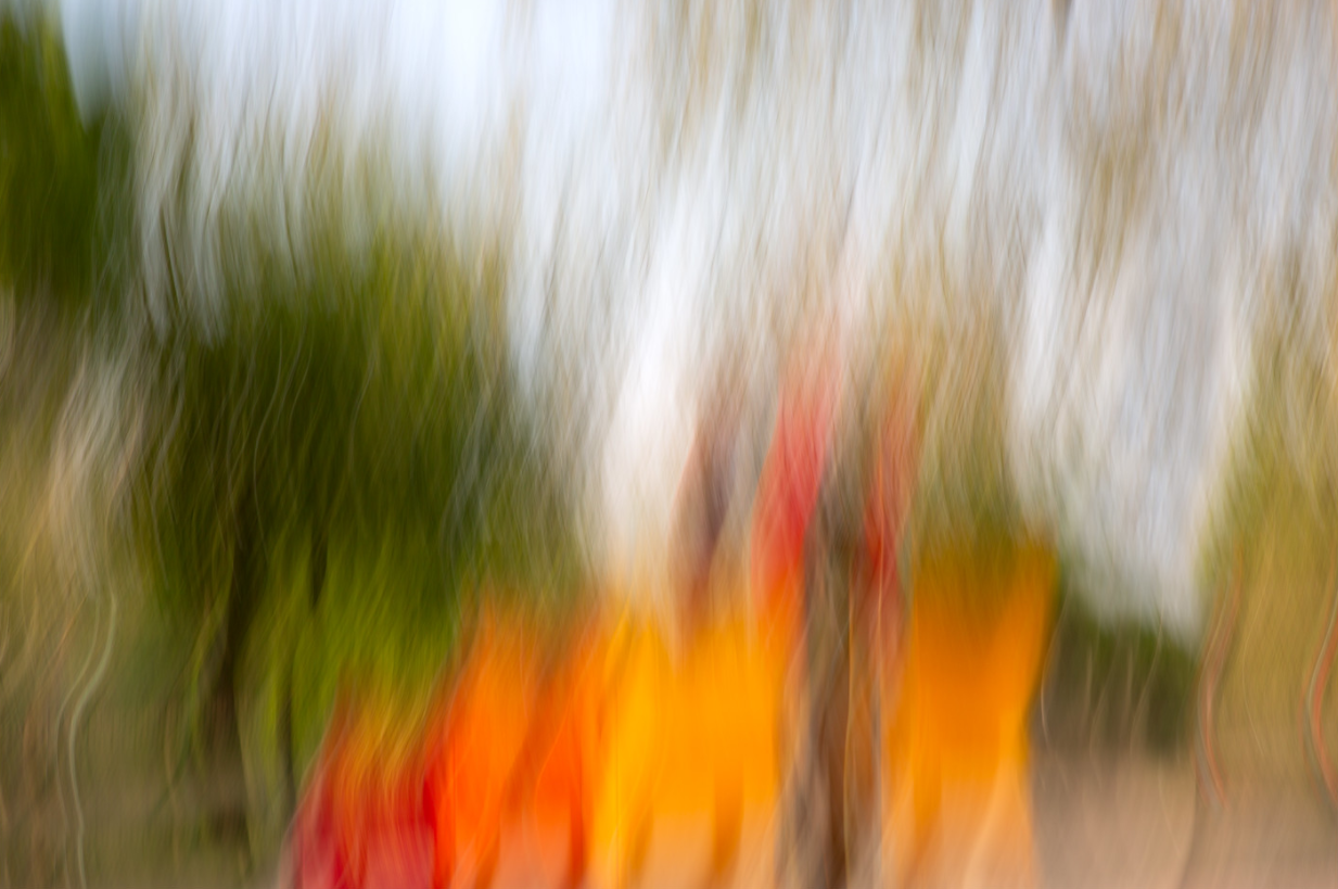 Abstract – David Rosen Photography