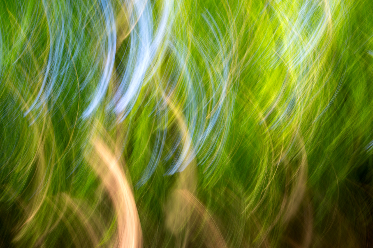 Abstract – David Rosen Photography