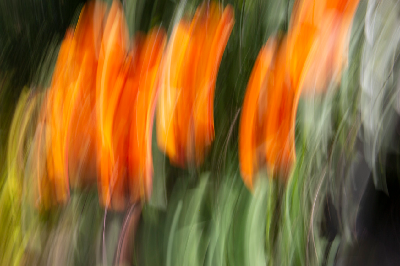 Abstract – David Rosen Photography