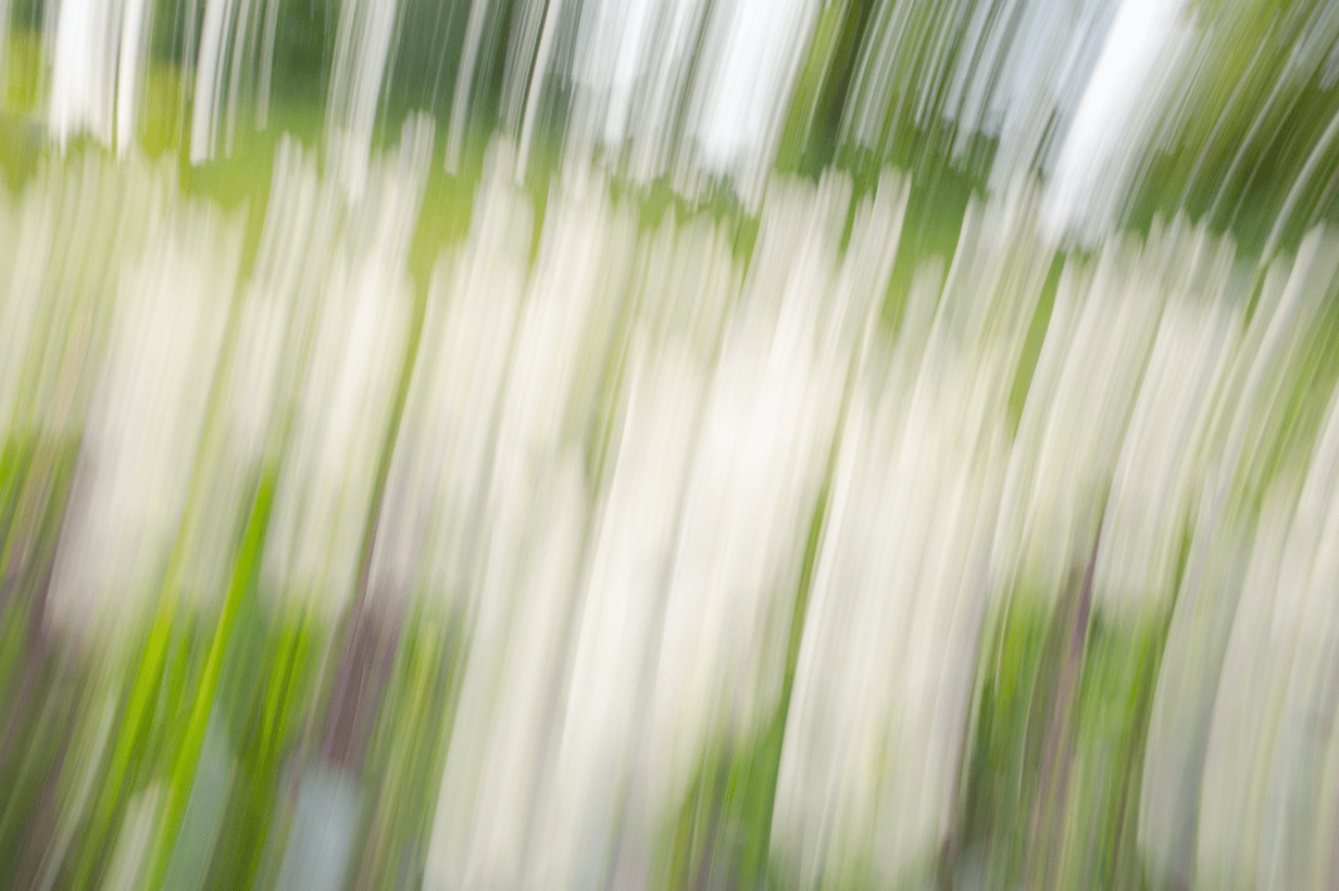 Abstract – David Rosen Photography