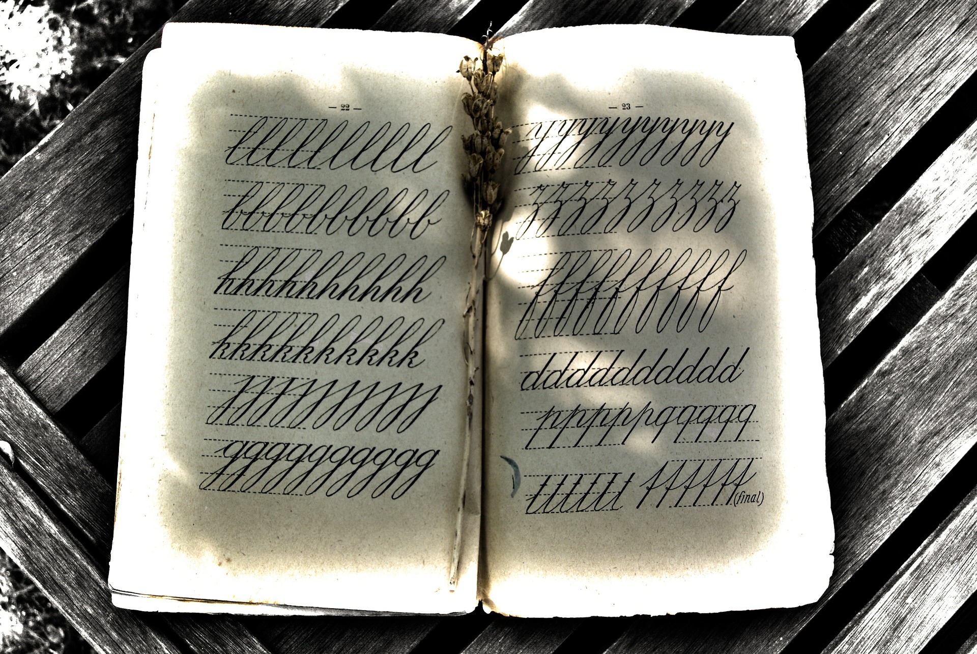 The Longhand Experiment | David Versace