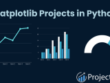 Top 5 Matplotlib Projects In Python For Practice