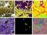 Top 7 Python Image Processing Libraries To Excel In Data Science
