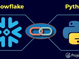 All That You Need To Know About Snowflake Python Connector