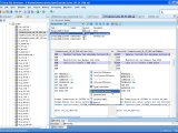 Sql Developer Dbms Tools