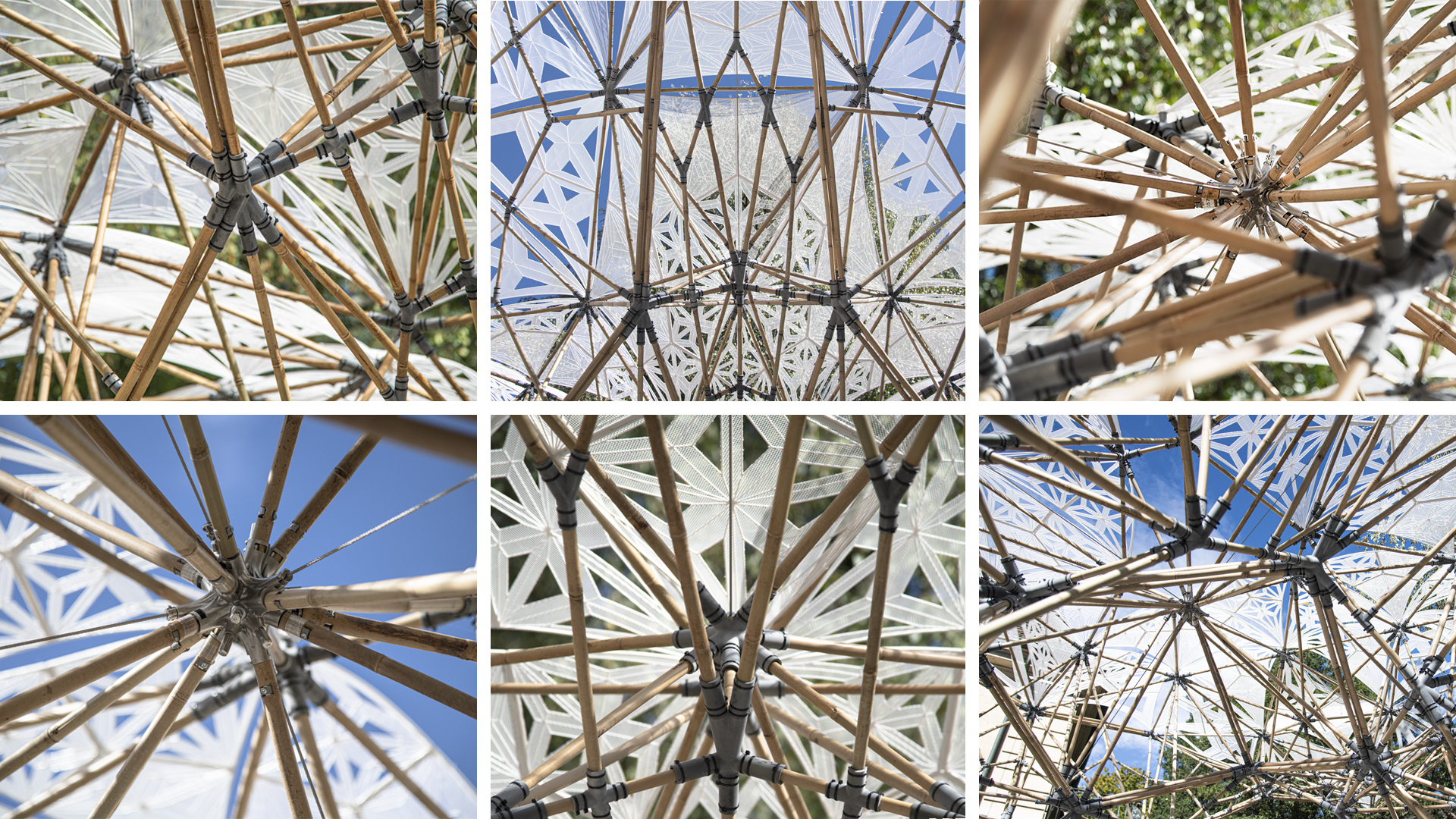 Digital Bamboo - dbt