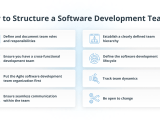 Software Development Team Roles