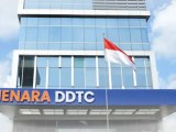 About Ddtc