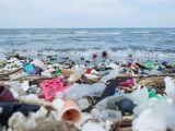 Plastic Sound Effects Download Deadsounds