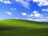 Windows Xp Sound Effects Free Download Deadsounds