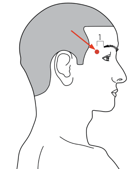 Acupressure points for Stress and Anxiety - Debbie Lee