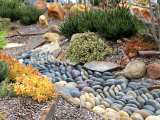 Succulent Garden Design Plans Fasci Garden