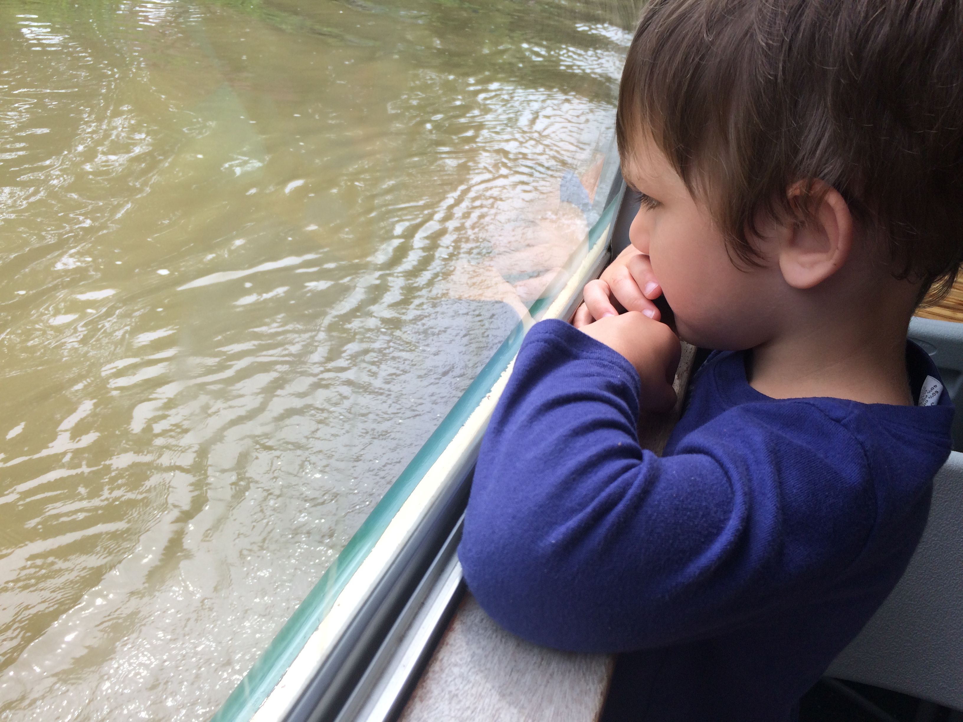 Explore Rochester ~ Sam Patch Boat Tours