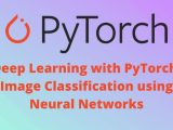 Image Classification Using Neural Networks