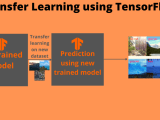 Transfer Learning Using Tensorflow